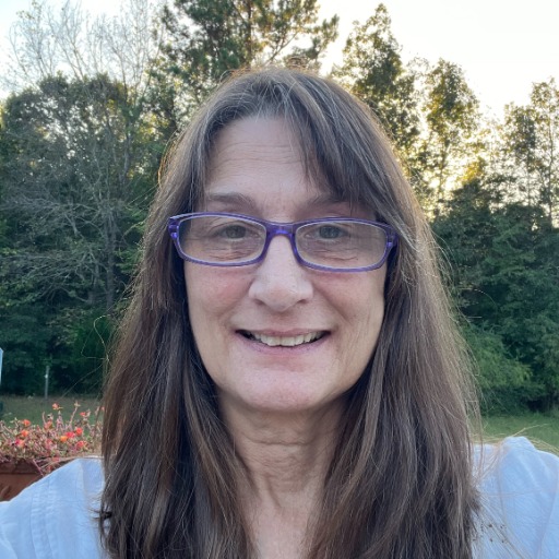 4110 Island Drive # Unit 505, North Topsail Beach, NC, 28460 - Photos ...